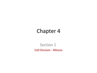 Mitosis powerpoint | PPT