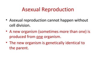 Mitosis powerpoint | PPT
