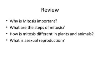 Mitosis powerpoint | PPT