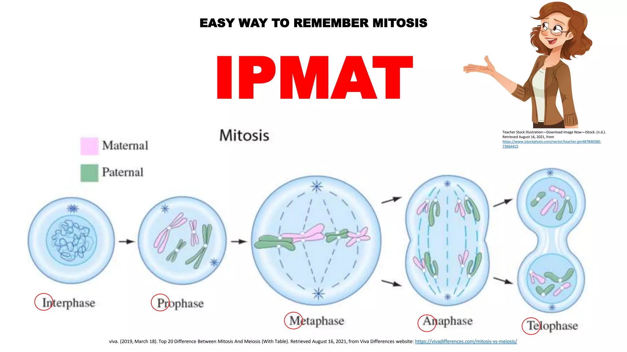 Mitosis pp presentation for gr 10 life sciences | PPTX