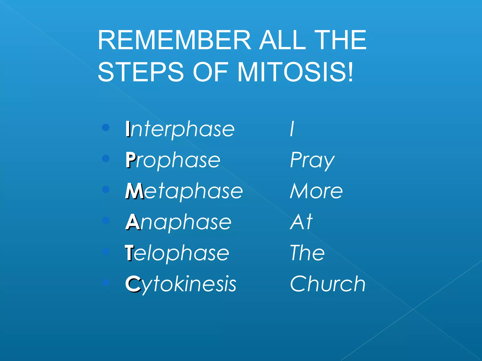 Mitosis Notes 7th grade level | PPT