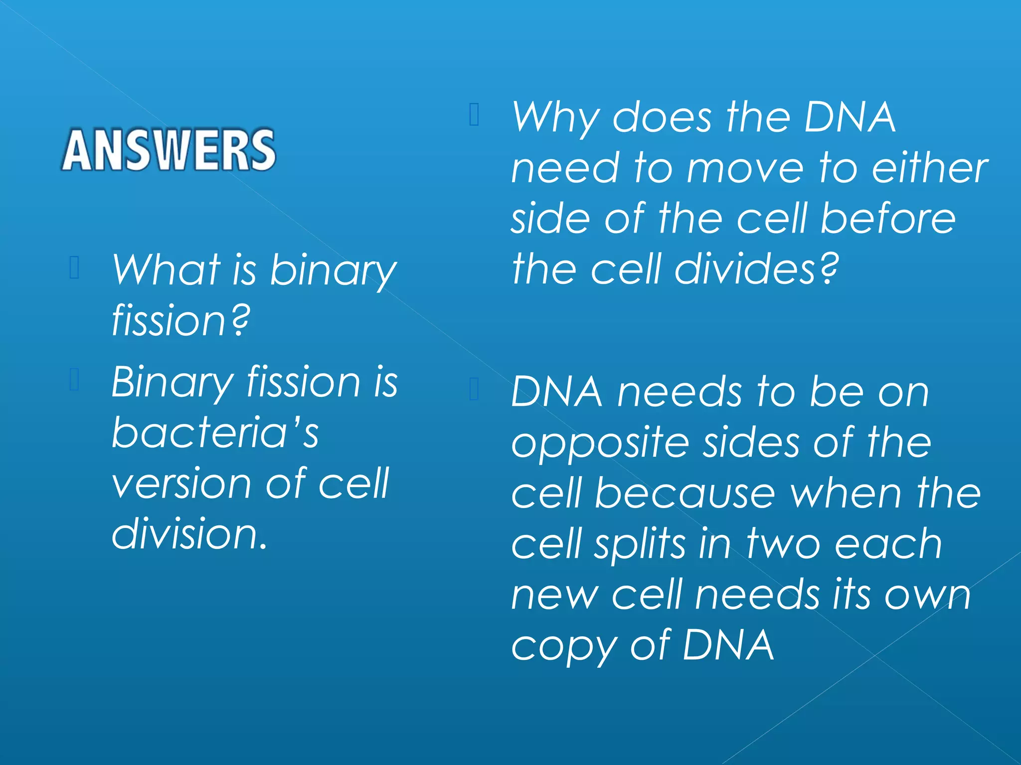 Mitosis Notes 7th grade level | PPT