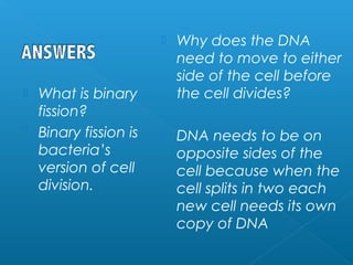 Mitosis Notes 7th grade level | PPT
