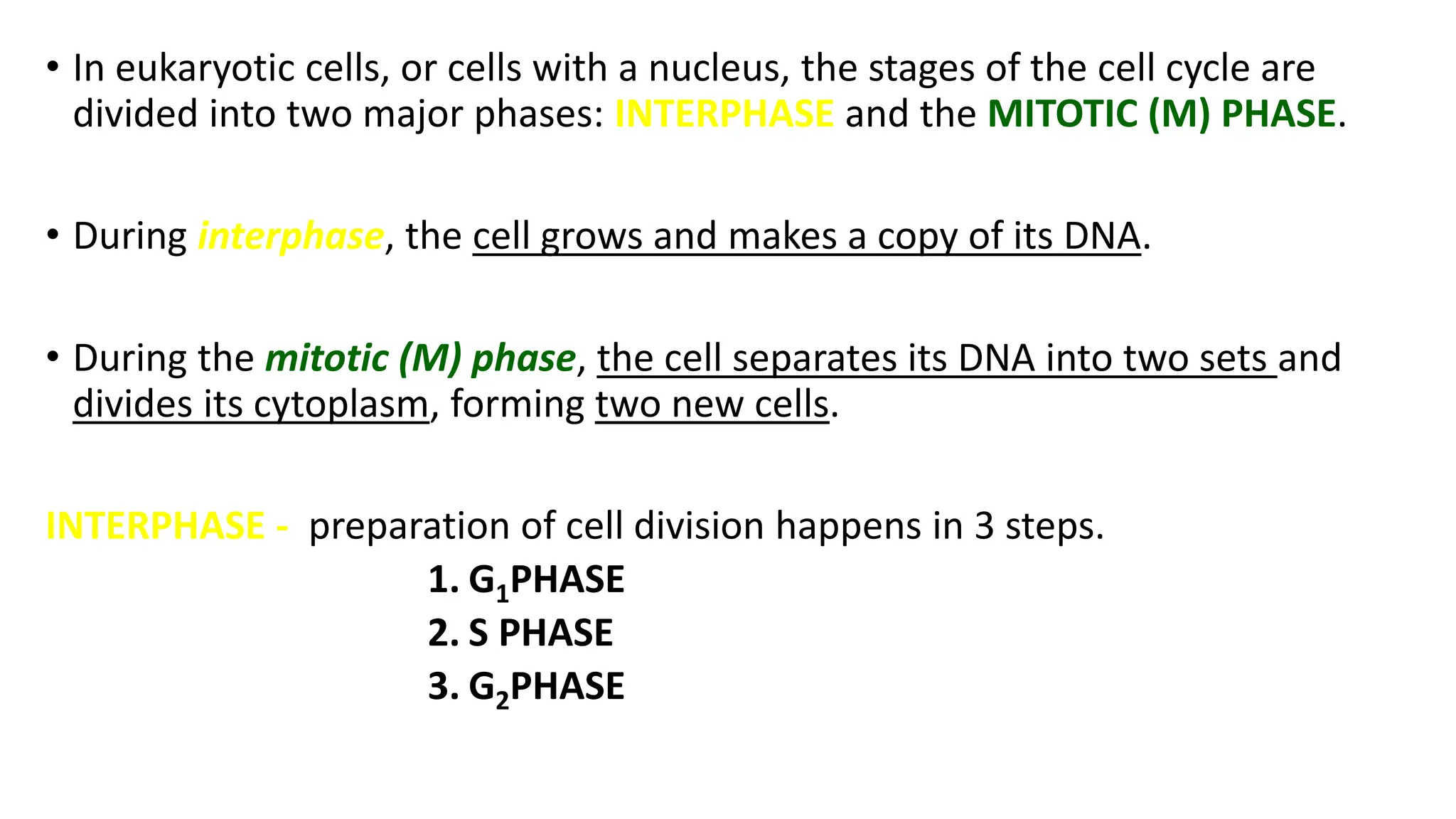 MITOSIS PPT.pptx