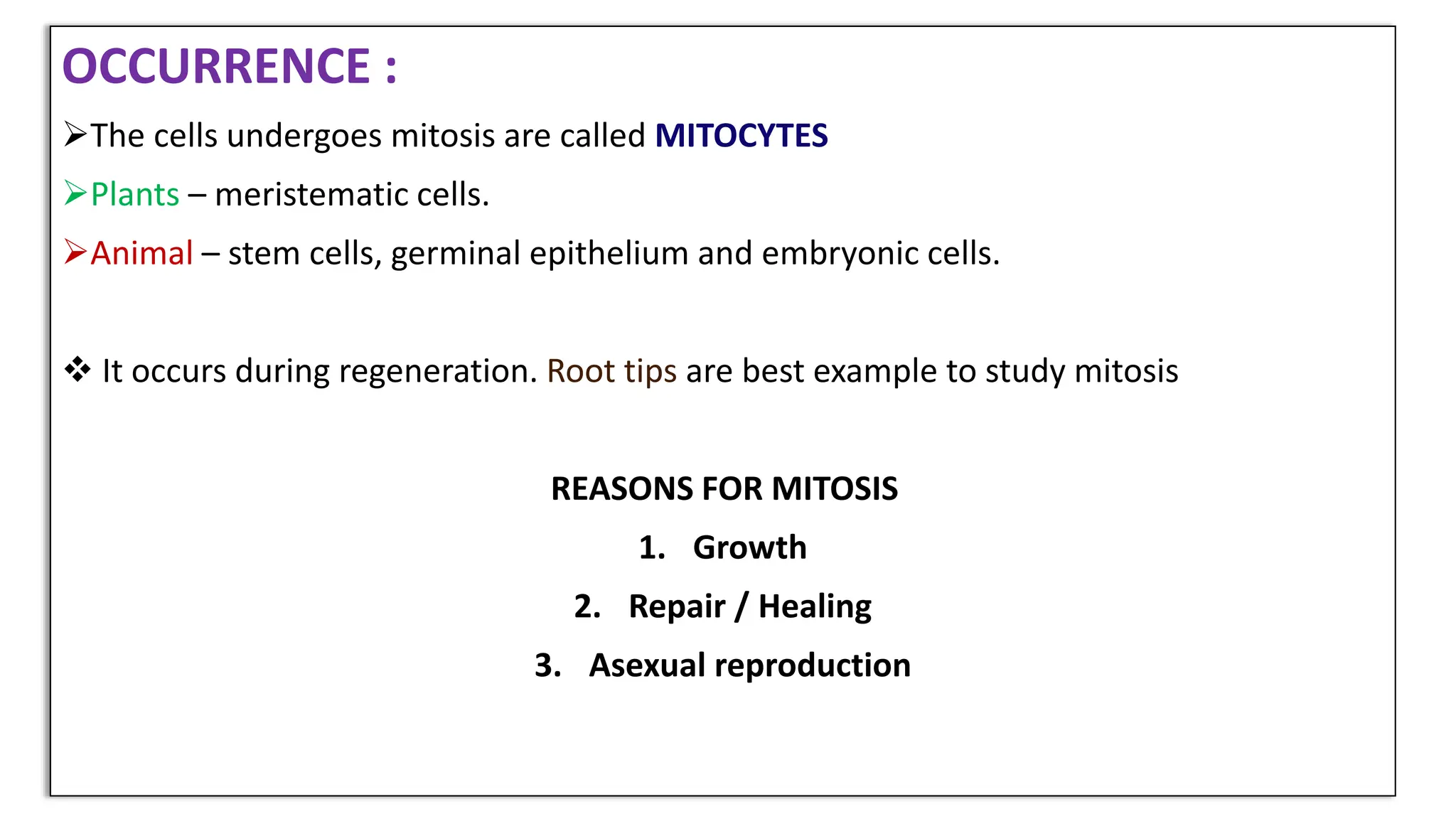 MITOSIS PPT.pptx