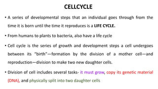 MITOSIS PPT.pptx