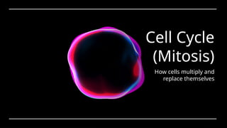 mitosis and the phases of the cell cycle | PPTX