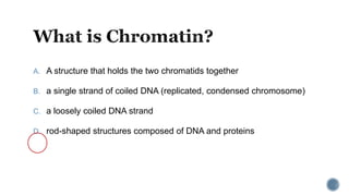 Cell Cycle Notes | PPTX