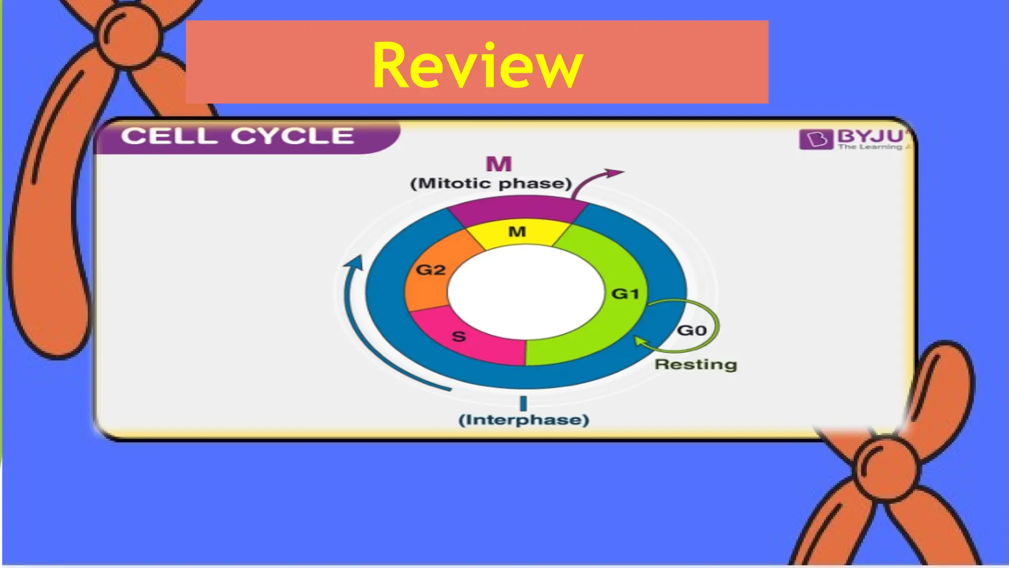 MITOSIS PPT SCIENCE. NINE POWER POINT PRESENTATIOM | PPTX