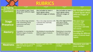 MITOSIS PPT SCIENCE. NINE POWER POINT PRESENTATIOM | PPTX