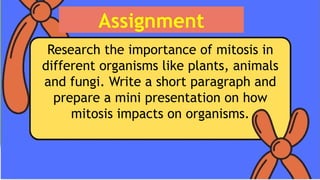 MITOSIS PPT SCIENCE. NINE POWER POINT PRESENTATIOM | PPTX