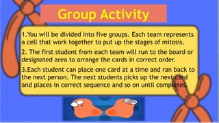 MITOSIS PPT SCIENCE. NINE POWER POINT PRESENTATIOM | PPTX