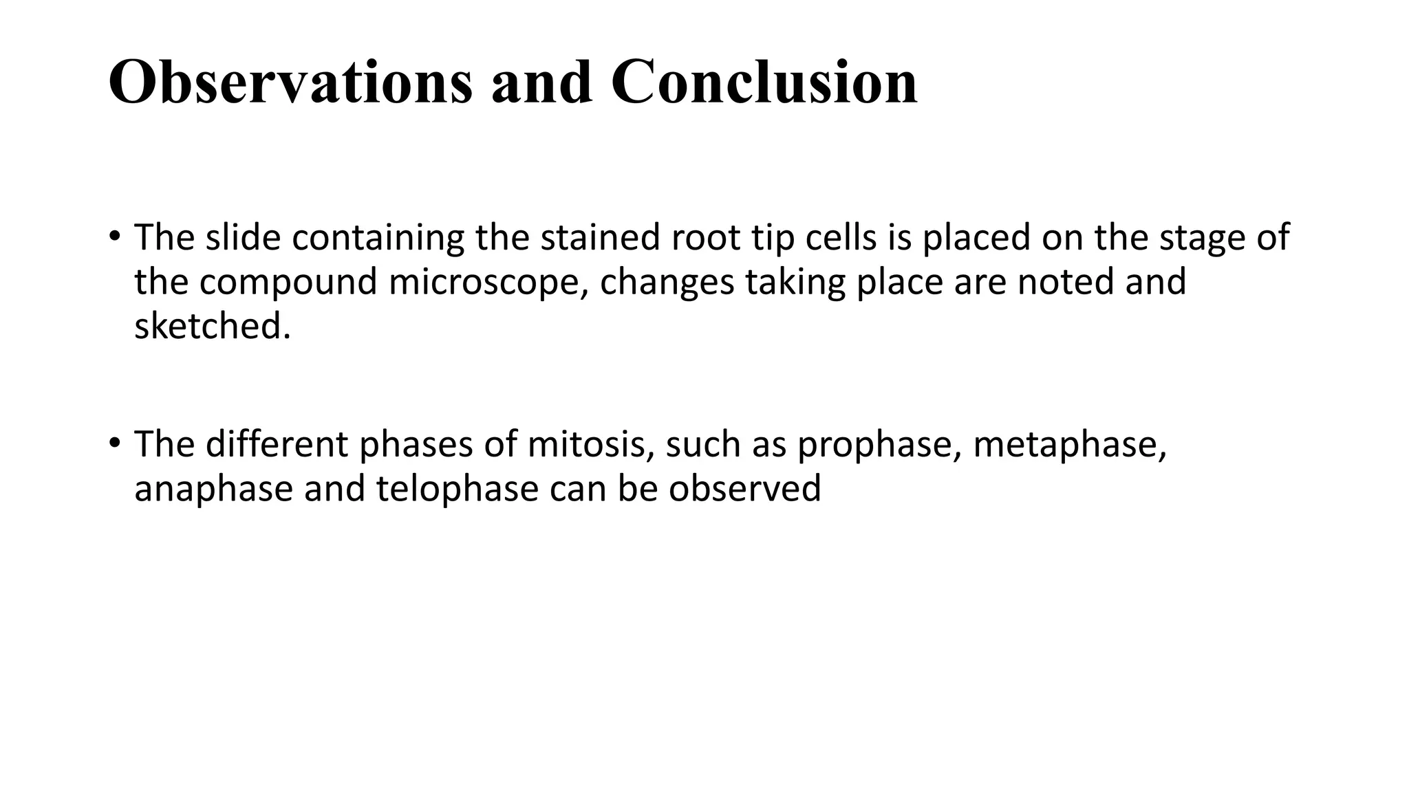 mitosis practical of bio engineering field | PPTX