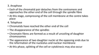 mitosis practical of bio engineering field | PPTX