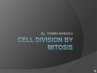 Mitosis presentation final | PPTX
