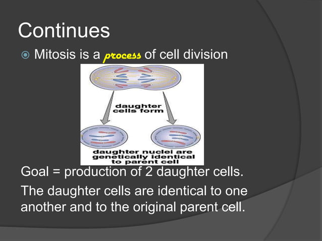Mitosis presentation final | PPT
