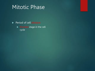 mitosis roslyn in biotechnology Engineering.ppt