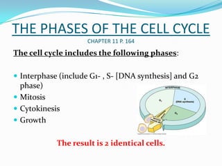 Mitosis simphiwe | PPTX