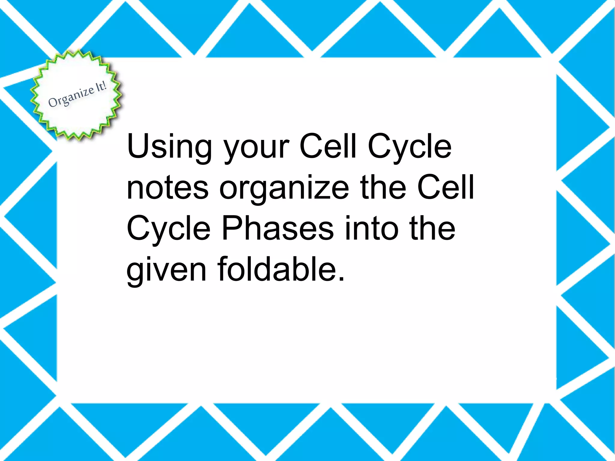 Mitosis station lab cards | PPTX | Cancer | Diseases and Conditions