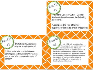 Mitosis station lab cards | PPTX | Cancer | Diseases and Conditions