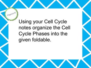 Mitosis station lab cards | PPTX