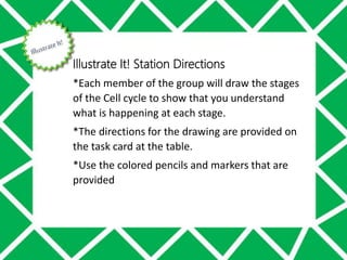 Mitosis station lab cards | PPTX