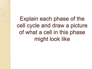 Mitosis study guide answers | PPTX