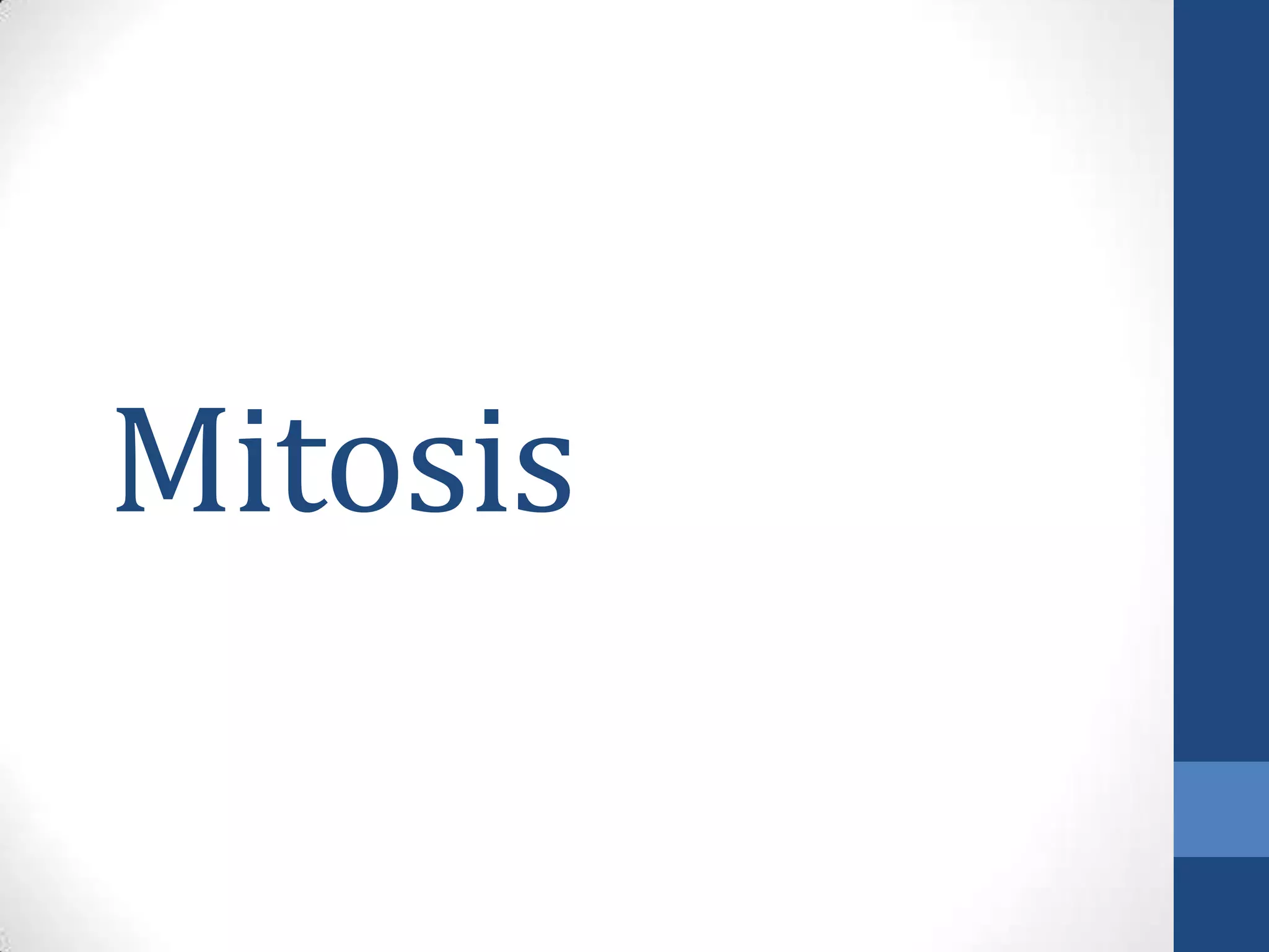 Mitosis | PPT