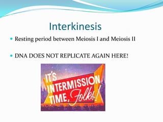 Mitosis vs. meiosis | PPTX
