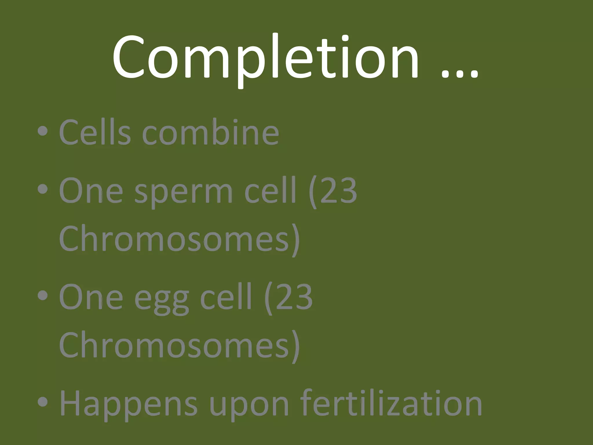 Mitosis vs. Meiosis | PPT