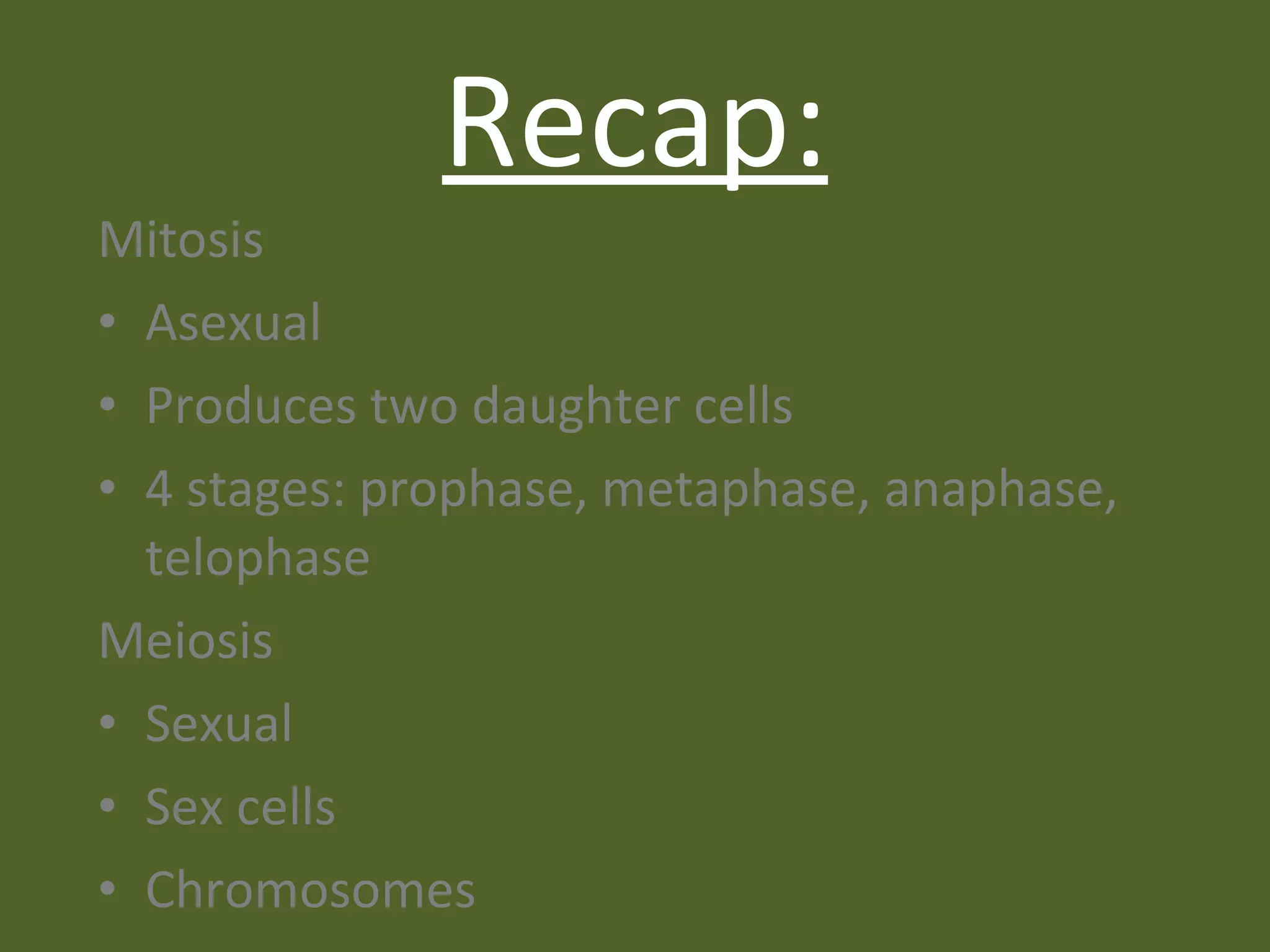 Mitosis vs. Meiosis | PPT