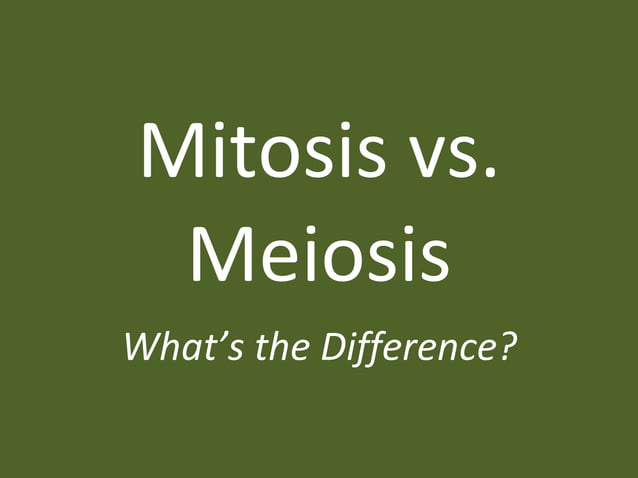 Mitosis vs. Meiosis | PPT