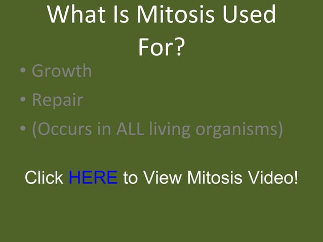 Mitosis vs. Meiosis | PPT