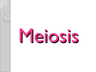 Mitosis y Meiosis | PPT