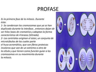 Mitosis y Meiosis (DIVISIÓN CELULAR) | PPTX