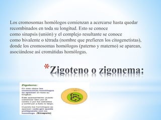 Mitosis y Meiosis | PPTX