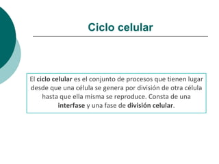 Tema 4. Ciclo celular, Mitosis y Meiosis.pdf
