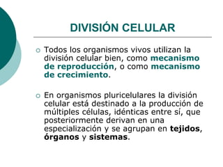 Tema 4. Ciclo celular, Mitosis y Meiosis.pdf