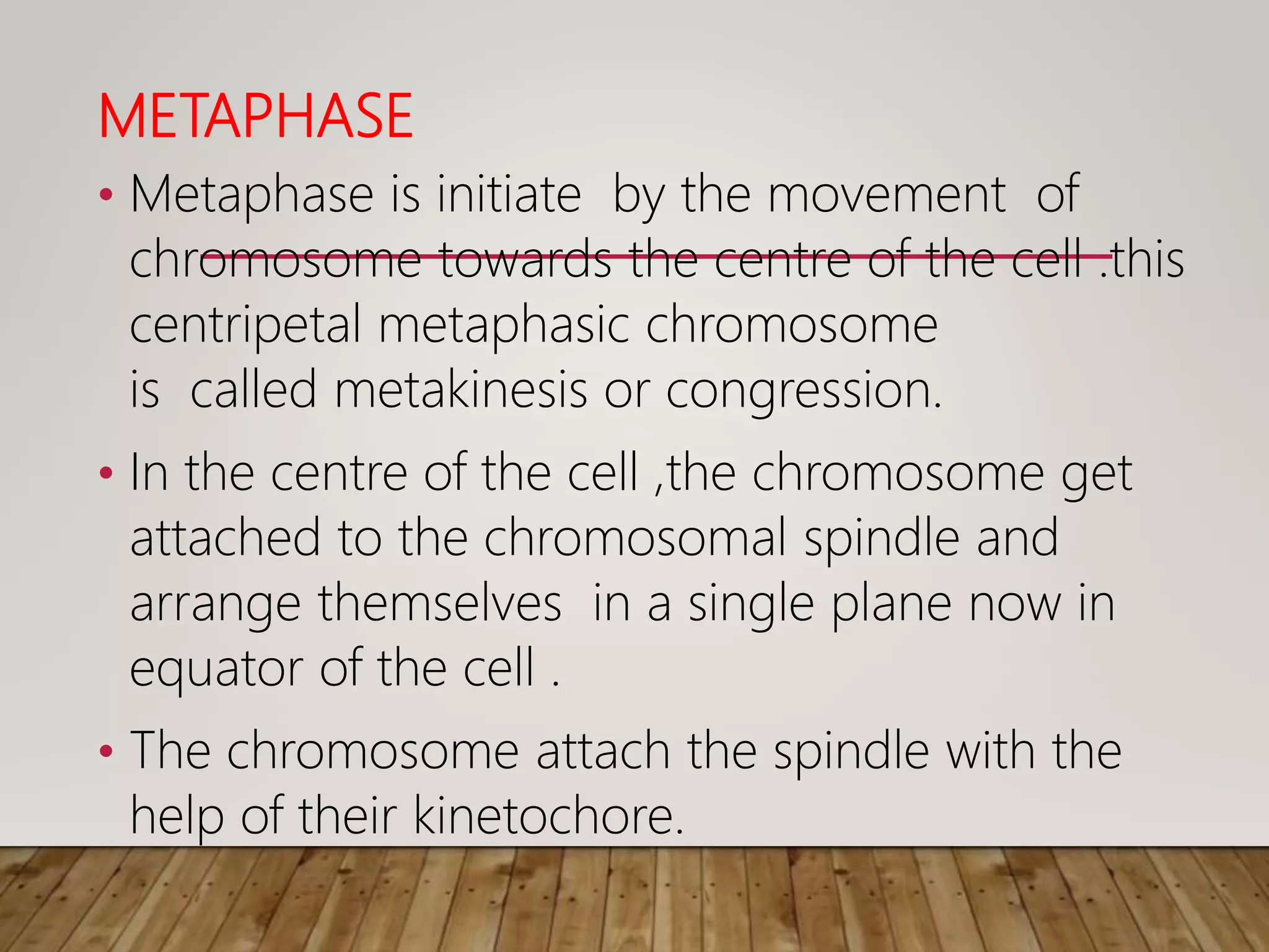 Mitotic cell division (2) | PPTX | Biological Sciences | Science