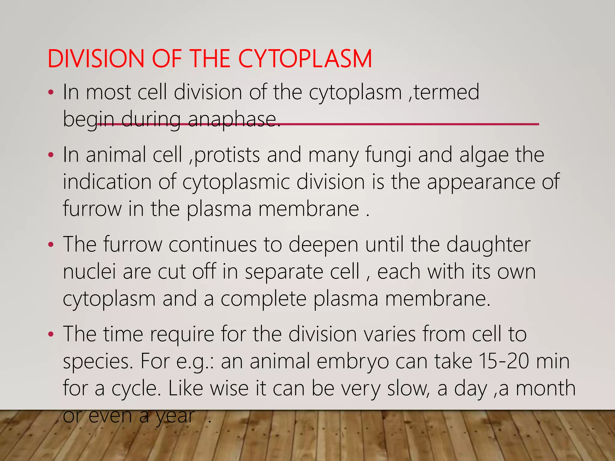 Mitotic cell division (2) | PPTX | Biological Sciences | Science