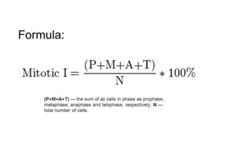 Mitotic index calculation and importance | PPTX