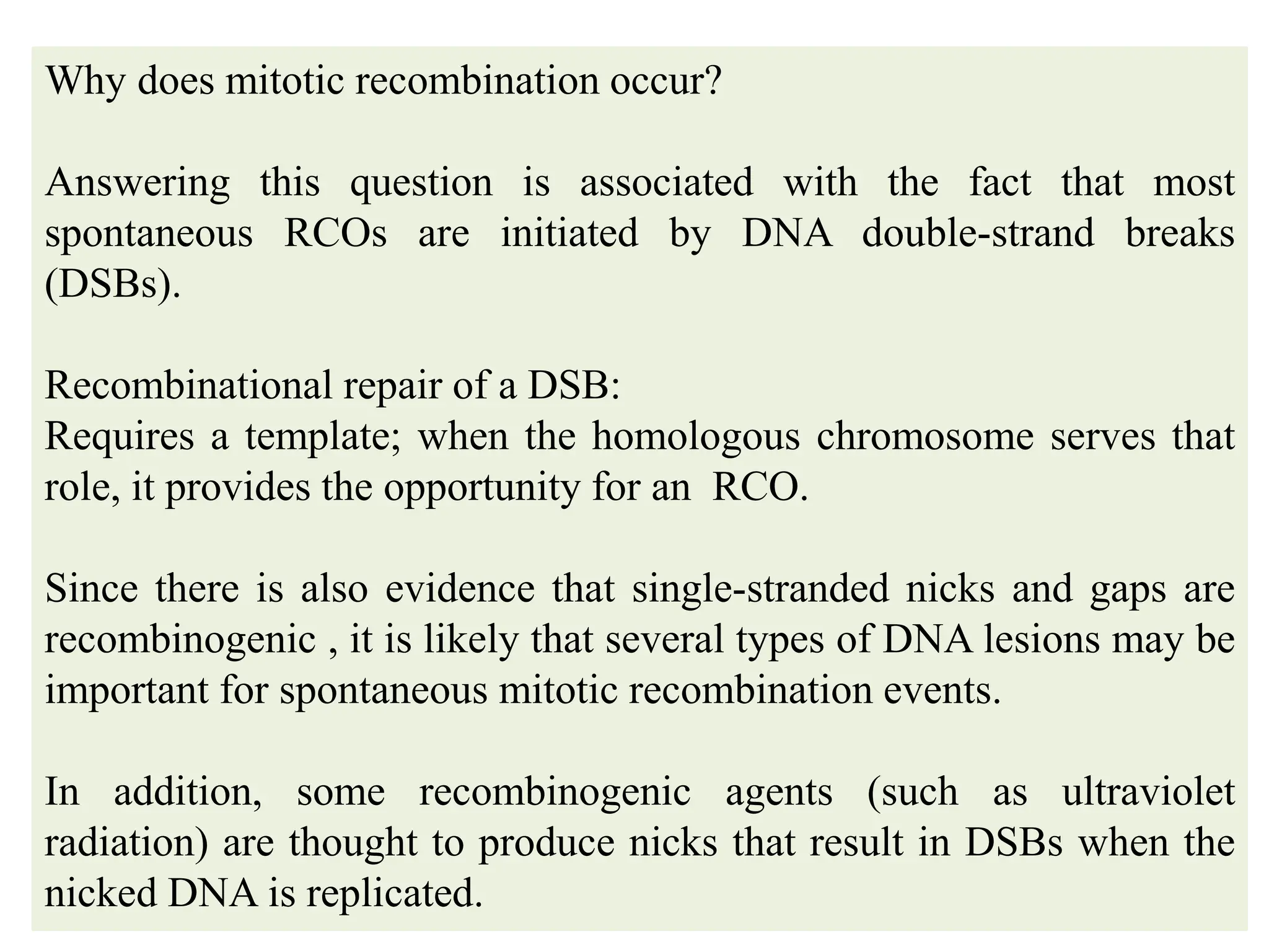 Mitotic recombinationobbh hjijvuhbhuuigg | PPT