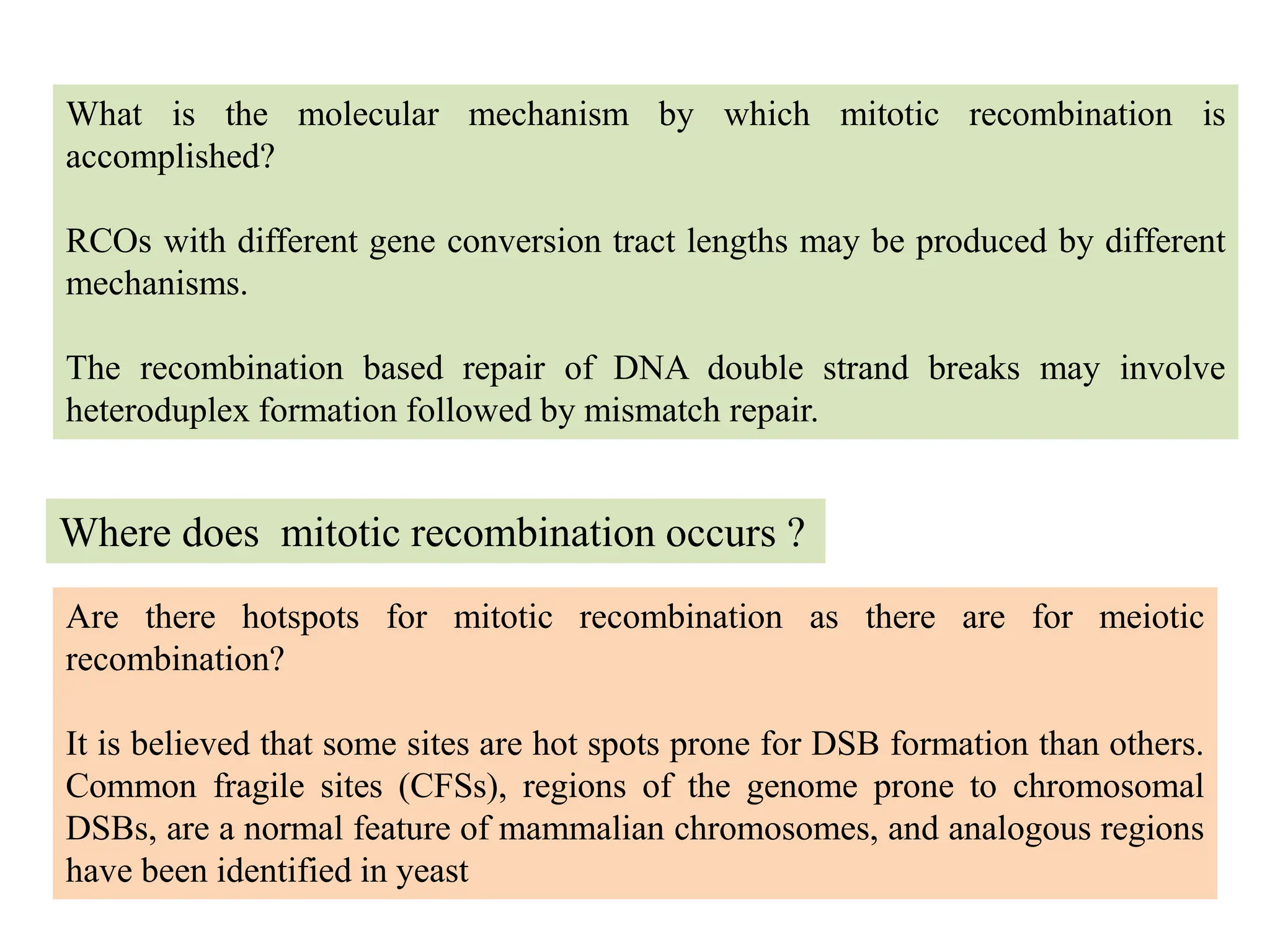 Mitotic recombinationobbh hjijvuhbhuuigg | PPT