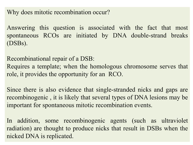 Mitotic recombinationobbh hjijvuhbhuuigg | PPT