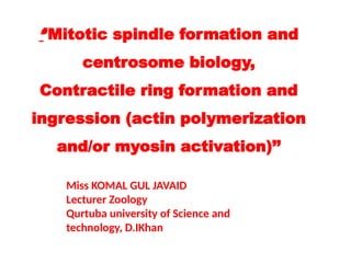 Comprehensive Overview of Mitotic Spindle Formation, Centrosome Biology ...