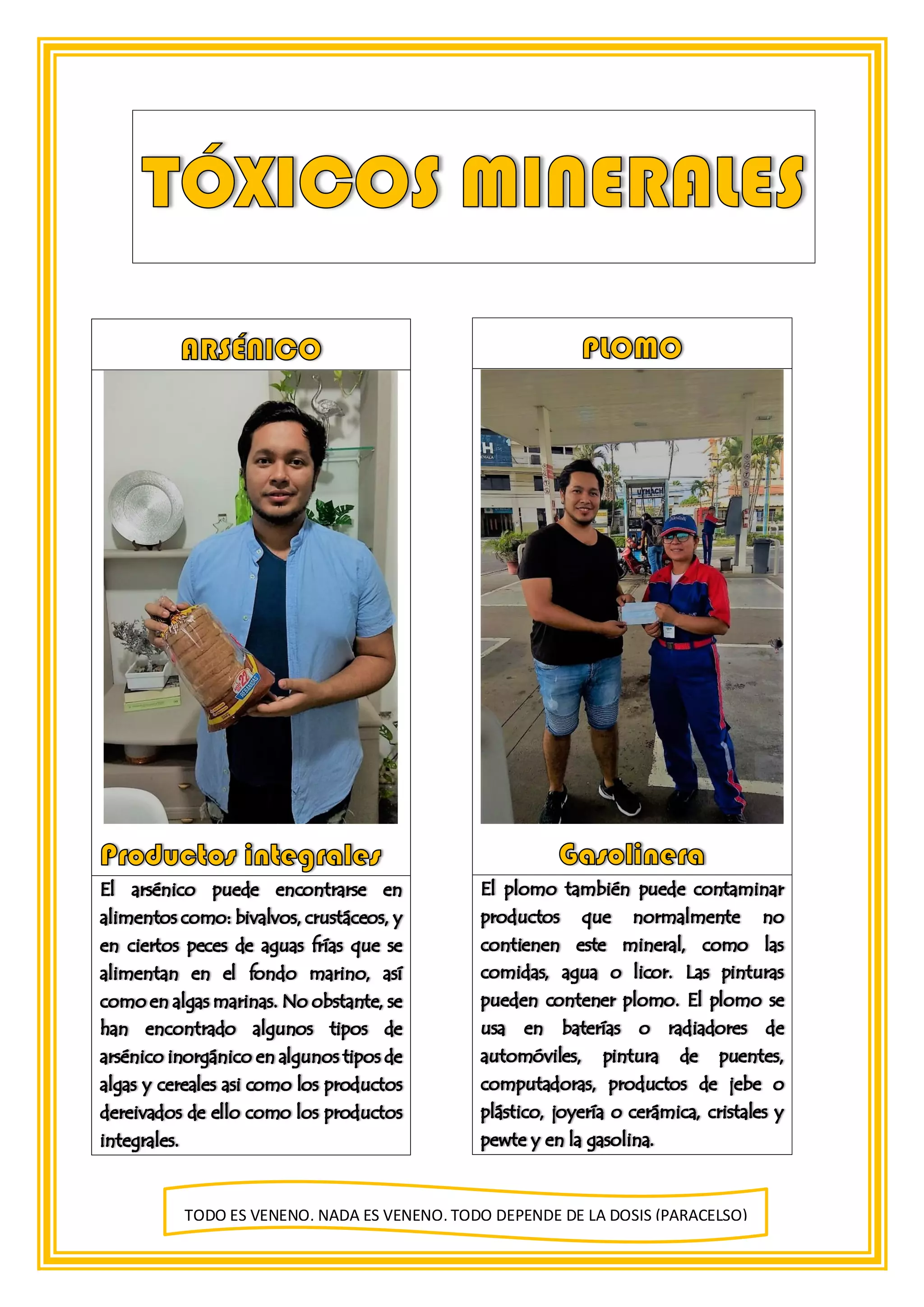 Mi toxico y yo | PDF