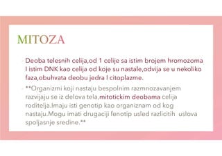 ~~MITOZA~~ biologija za 7.razred osnovne skole~~ | PDF