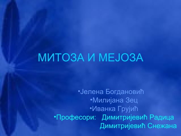 Biologija - Mitoza i mejoza - Milijana Zec - Dimitrijević Radica | PPT