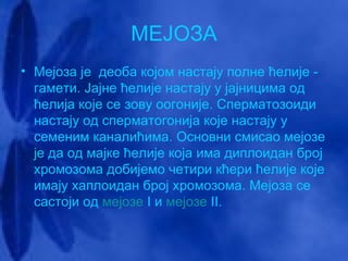 Biologija - Mitoza i mejoza - Milijana Zec - Dimitrijević Radica | PPT