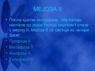 Mitoza i mejoza - Milijana Zec - Dimitrijević Radica | PPT